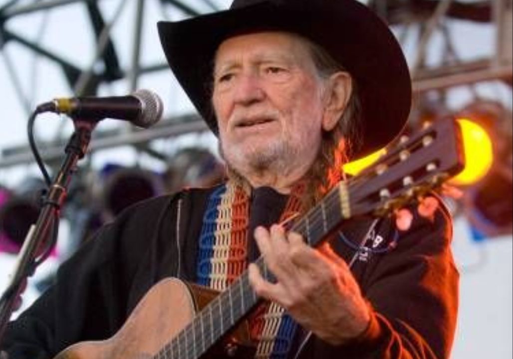 Willie Nelson - If You've Got the Money, I've Got the Time - OldiesButGoodies